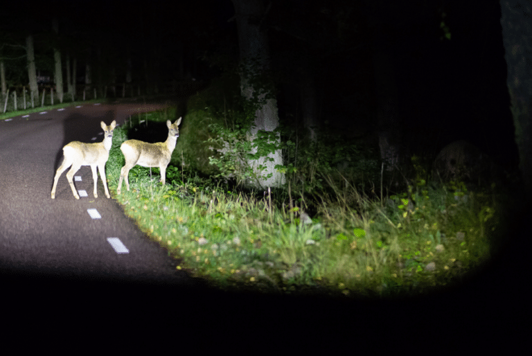 Driving At Night - 10 Essential Tips To Stay Safe In The Dark
